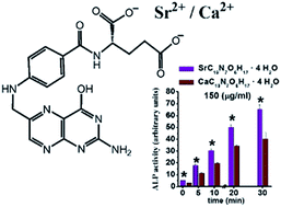 The synthesis and characterisation of strontium and calcium folates ...