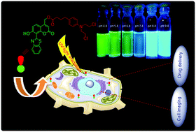 Coumarin–benzothiazole–chlorambucil (Cou–Benz–Cbl) conjugate: an ESIPT ...