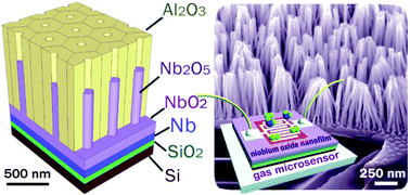 Formation–structure–properties of niobium-oxide nanocolumn arrays via ...