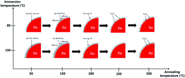 Preparation and oxidation behavior of Ag-coated Cu nanoparticles less ...