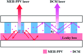 A dual-wavelength surface-emitting distributed feedback laser from a ...