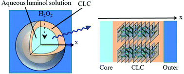 Chemiluminescence emission in cholesteric liquid crystalline core–shell ...