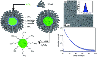 Size controlled synthesis of carbon quantum dots using hydride reducing ...