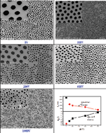 Fabrication of porous film with controlled pore size and wettability by ...