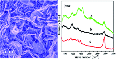Electrochemically created highly surface roughened Ag nanoplate arrays ...