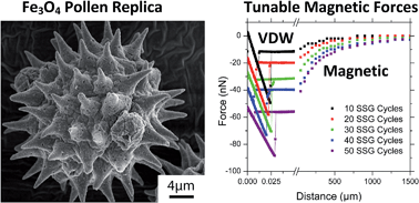 Three-dimensional magnetite replicas of pollen particles with ...