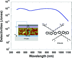High-detectivity inverted near-infrared polymer photodetectors using ...