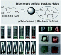 Biomimetic non-iridescent structural color materials from polydopamine ...