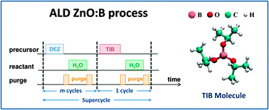 Atomic layer deposition of B-doped ZnO using triisopropyl borate as the ...