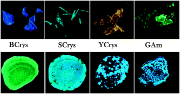 Polymorphic crystals and their luminescence switching of ...