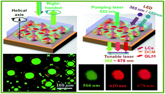 Wide tunable lasing in photoresponsive chiral liquid crystal emulsion ...