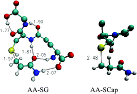 In vitro studies on the reaction rates of acrylamide with the key body ...