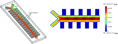 On-chip gradient generation in 256 microfluidic cell cultures ...