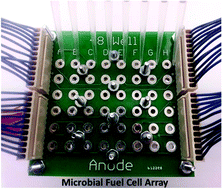 A paper-based microbial fuel cell array for rapid and high-throughput ...