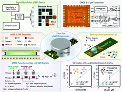A palm-size μNMR relaxometer using a digital microfluidic device and a ...