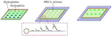 A microfabrication-free nanoliter droplet array for nucleic acid ...