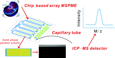 Chip-based array magnetic solid phase microextraction on-line coupled ...