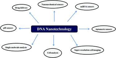 Hybrid, multiplexed, functional DNA nanotechnology for bioanalysis ...