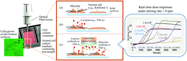 An innate immune system-mimicking, real-time biosensing of infectious ...