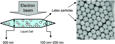 Visualization of film-forming polymer particles with a liquid cell ...