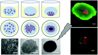 Emulsion technologies for multicellular tumour spheroid radiation ...
