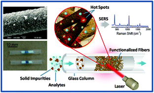 A portable microcolumn based on silver nanoparticle functionalized ...