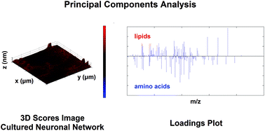 Multivariate analysis of 3D ToF-SIMS images: method validation and ...