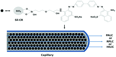 Synthesis and characterization of a multimode stationary phase: Congo ...