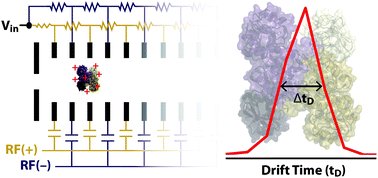 Ion mobility mass spectrometry of peptide, protein, and protein complex ...