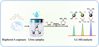 Urinary profiling of cis-diol-containing metabolites in rats with ...
