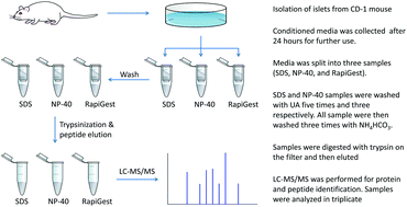 Sample preparation protocol for bottom-up proteomic analysis of the ...