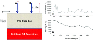 Non-invasive spectroscopy of transfusable red blood cells stored inside ...