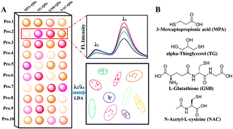 Ratiometric fluorescence sensor arrays based on quantum dots for ...