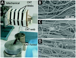 Surface activation of CNT Webs towards layer by layer assembly of ...
