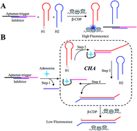 Amplified fluorescence detection of adenosine via catalyzed hairpin assembly and host–guest ...