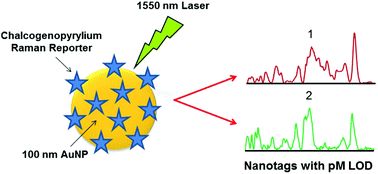 Sensitive SERS nanotags for use with 1550 nm (retina-safe) laser ...