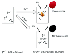 A selective fluorescence turn-on sensing system for evaluation of Cu2 ...