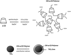Preparation of carboxymethyl-α-cyclodextrin polymer grafted onto nano TiO2 as a novel solid ...