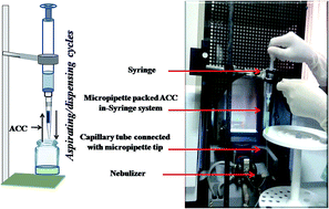 Development of miniaturized solid phase microextraction of copper in ...