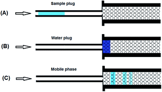 On-column preconcentration in sequential injection chromatography ...