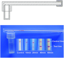 Portable and amplicon contamination prevention cartridges for DNA ...