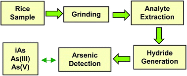 Speciation of inorganic arsenic in rice using hydride generation atomic ...