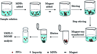 Preparation of fluorine functionalized magnetic nanoparticles for fast ...