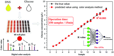 A novel digital color analysis method for rapid glucose detection ...