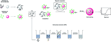 Determination of microcystin-LR in surface water by a magnetic bead ...