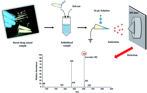 Paper spray mass spectrometry applied to the detection of cocaine in ...