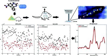 FTIR microspectroscopy coupled with variable selection methods for the ...