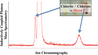 Chlorine speciation analysis in blood by ion chromatography-inductively ...