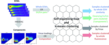 Analysis of dissolved organic matter fluorescence using self-organizing ...