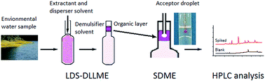 Dispersive liquid–liquid microextraction coupled with single-drop ...